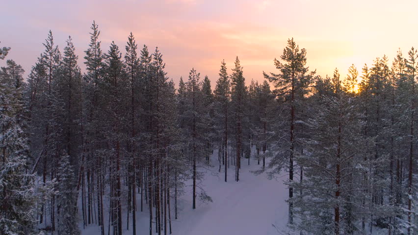 Beautiful Snow Landscape. Winter Trees Panorama. Sunset. Aerial View ...