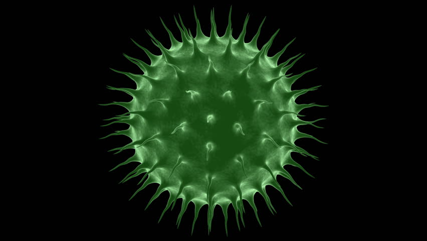 Bacteria Virus Moving Render In Green Color Isolated On Black Stock ...
