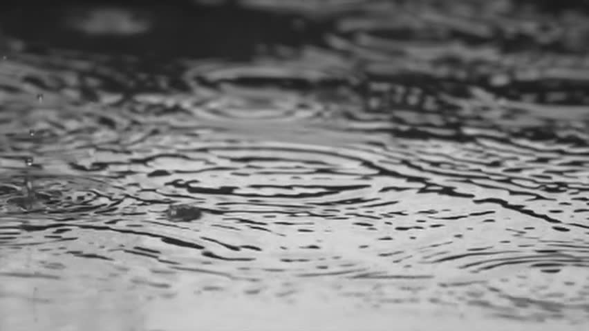Rain Drops Dripping in a Stock Footage Video (100% Royalty-free ...