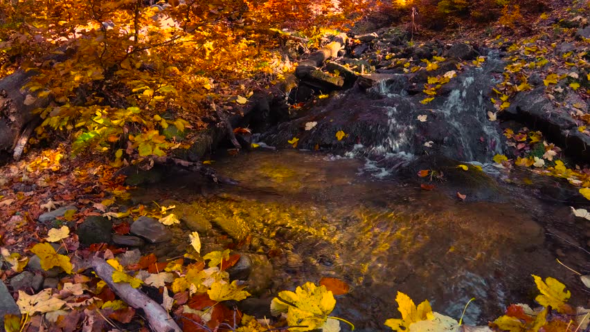Mountain Creek Waterfall With Yellow Fall Leaves And Red Rock. Stock ...