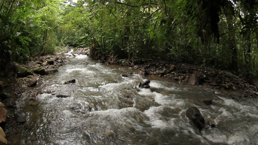 Cloud Forest, Bosque De Paz, Stock Footage Video (100% Royalty-free ...