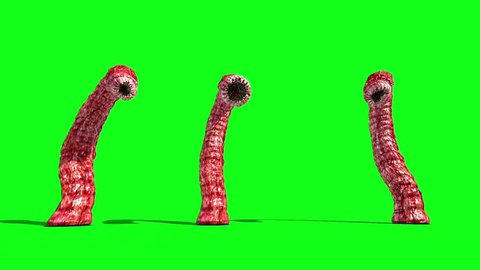 Alien Worm Stock Video Footage - 4K and HD Video Clips | Shutterstock