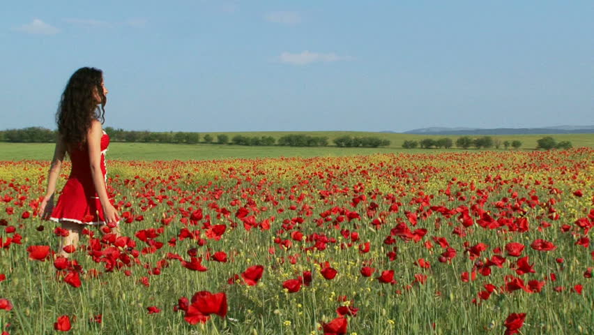 Beautiful Woman Walking Among Blooming Poppy Flowers. Beautiful Woman ...