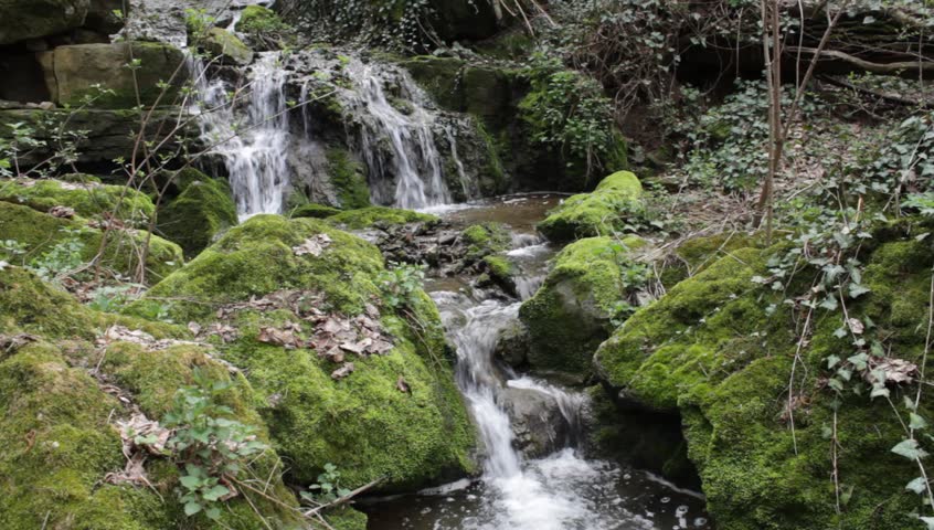 Forest Stream Running Over Mossy Rocks Stock Footage Video 1421647 ...