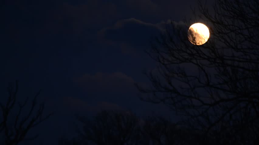 (1029) Blue Moon Shining Across Evening Seas, Complete With Meteor ...