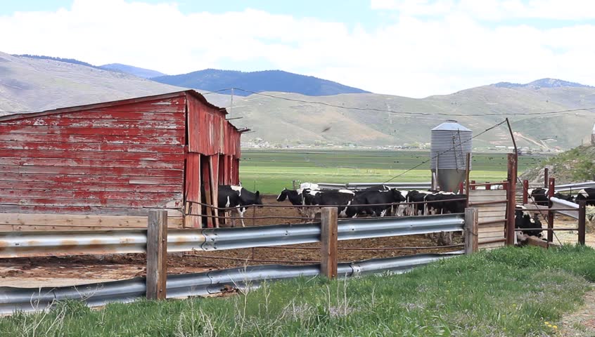 Small Dairy Farm Design