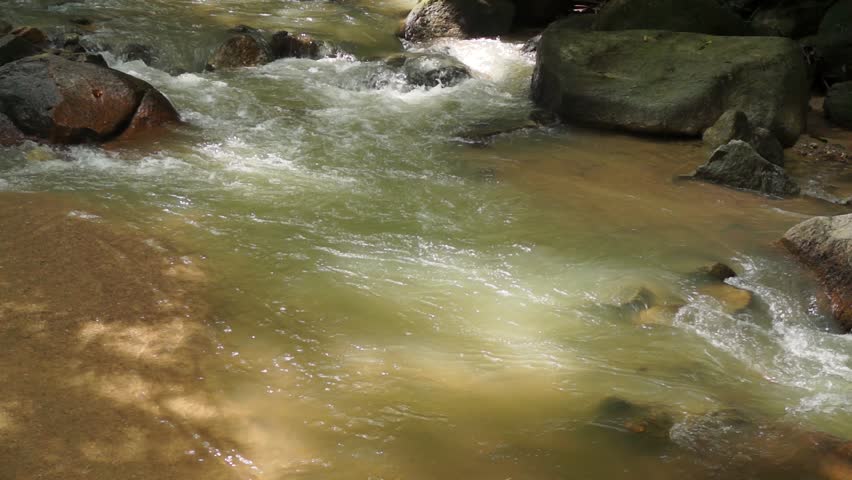 Unpolluted River in the Forest Stock Footage Video (100% Royalty-free ...