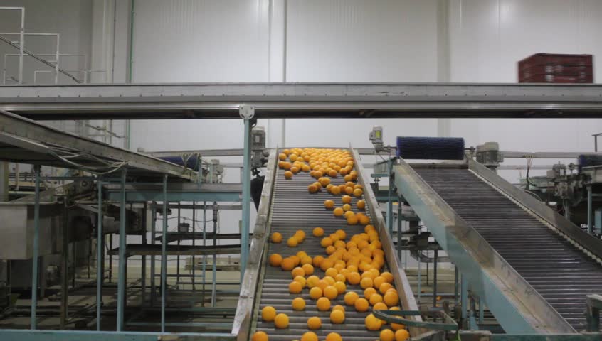 Oranges Factory in Spain Stock Footage Video (100% Royalty-free ...
