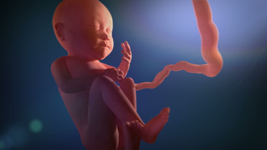 Stock video of 3 d animated fetus. fantastic vision | 4500992 ...