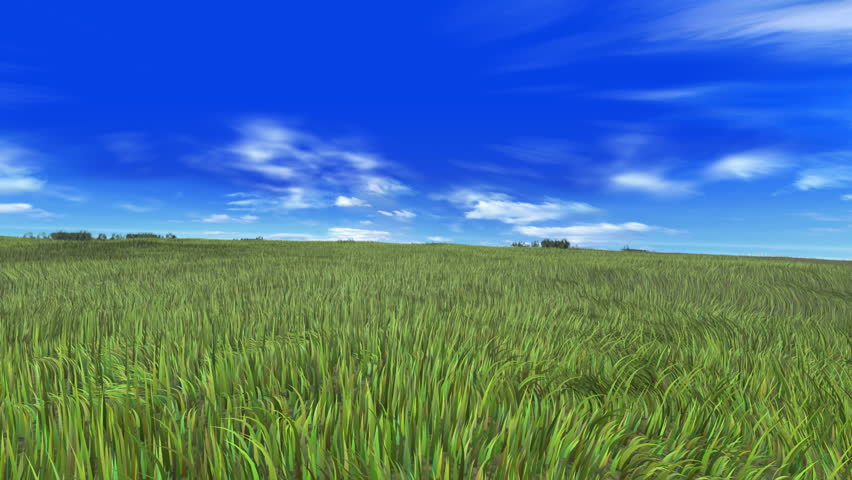South Dakota Prairie Scenery Stock Footage Video 3176608 | Shutterstock