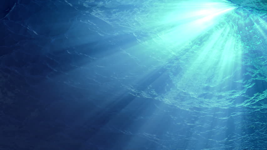 Underwater Stock Footage Video | Shutterstock