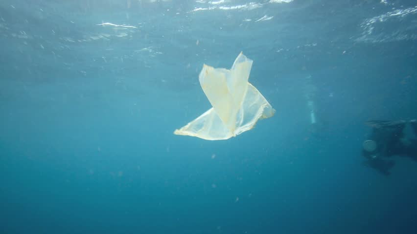 Stock video of plastic bag floating past underwater, scuba | 5446712 ...