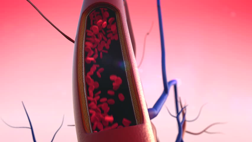 Blood Vessels Stock Video Footage - 4K and HD Video Clips | Shutterstock