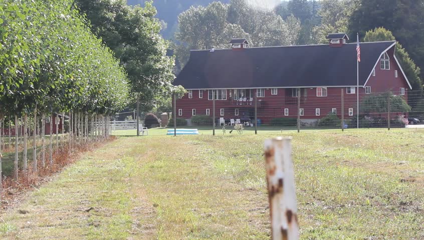 Red Barn On Tree Farm. Stock Footage Video (100% Royalty-free) 5565902 ...