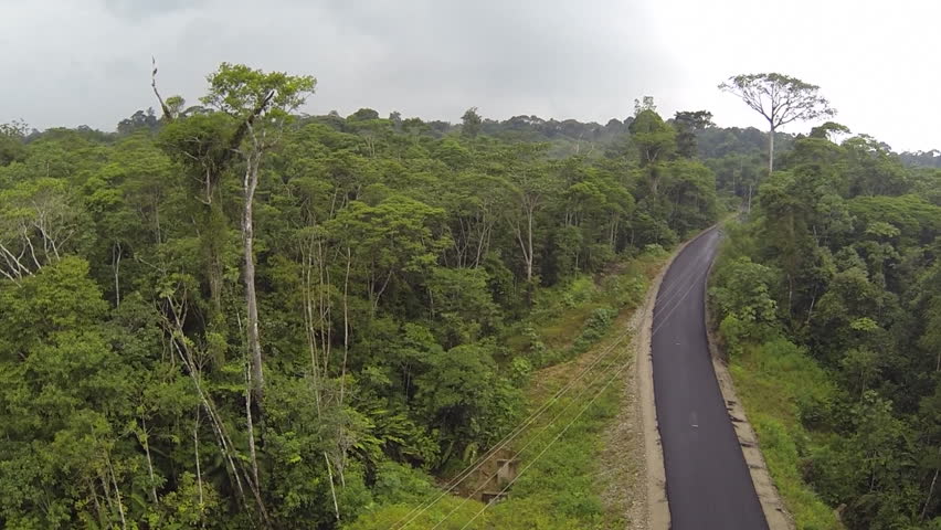 Aerial View Of A Road Running Through Primary Tropical Rainforest In ...