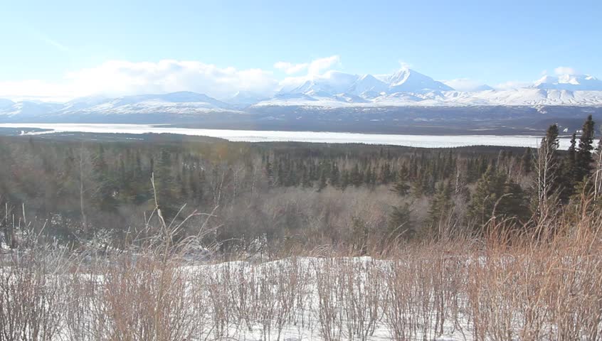 Alaska Snow Fields Trees. Vast Stock Footage Video (100% Royalty-free ...