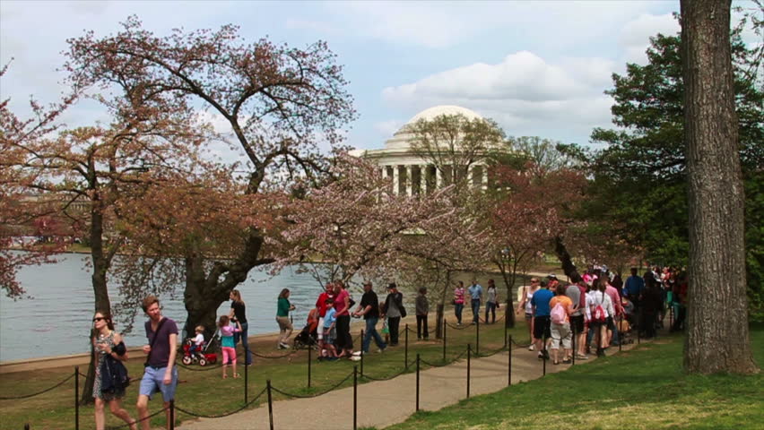 Washington Dc - April 2014. Stock Footage Video (100% Royalty-free ...