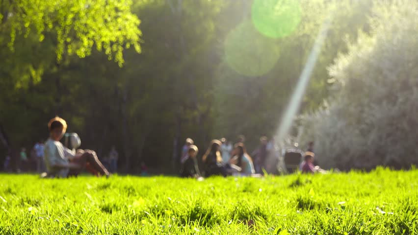 Sunny Weekend Day In Park, People Walking, Playing, Relaxing, Having ...