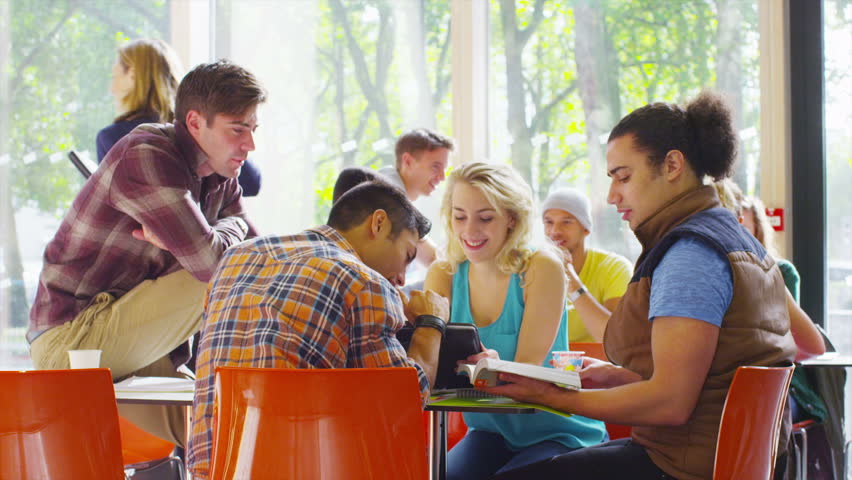 Cheerful Diverse Student Group Chatting Stock Footage Video (100% ...