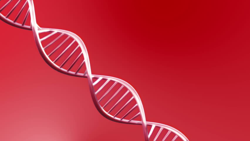 Red DNA Strand Slow Motion - 3D Animation Stock Footage Video 3971116 ...