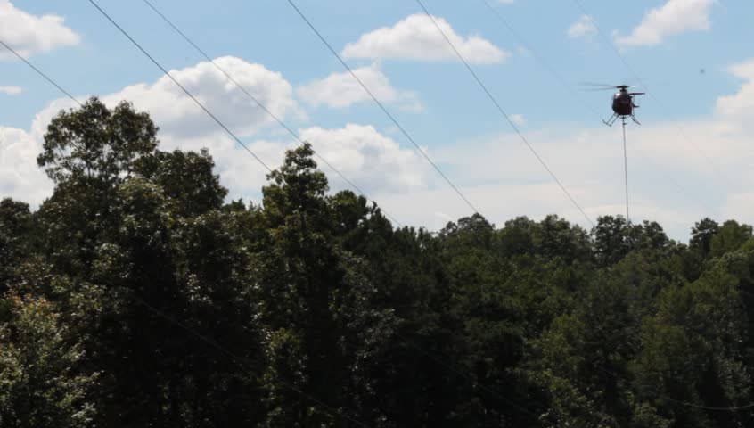 Helicopter With Suspended Tree Trimmer Cutting Trees Near Power Lines ...