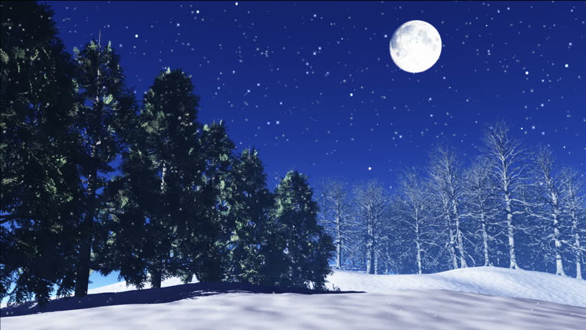 Dreamlike Winter Scenery. Snowy Firs And Frozen Lake At Snowfall Night ...