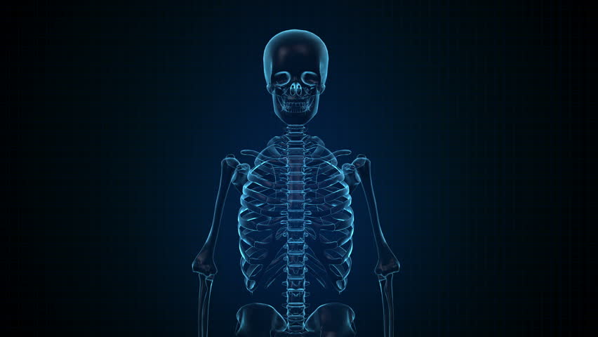 Human Skeleton In Sci-fi Green Interface Loop Able. Alpha Matte Stock ...