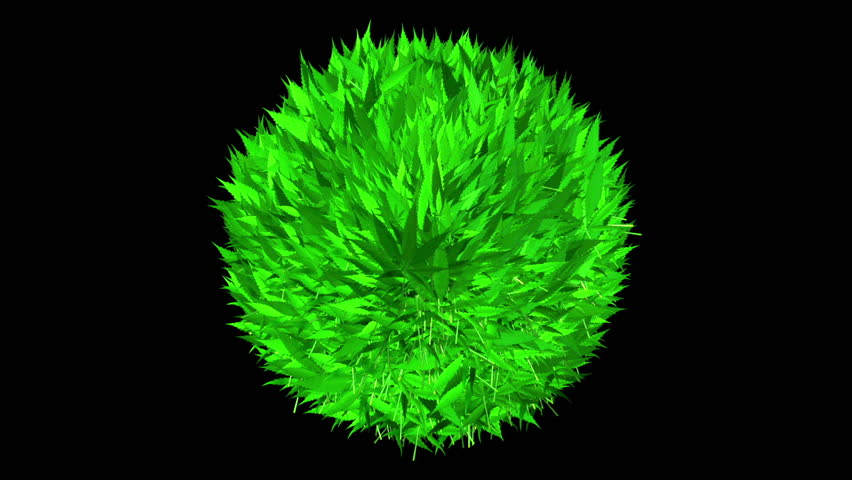 Stock video of marijuana leaves animation | 8435662 | Shutterstock