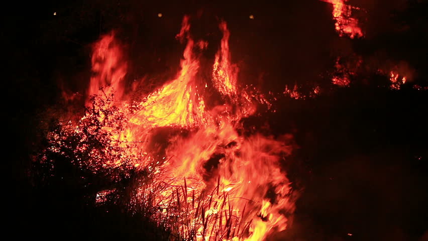 Animated Realistic Camp, Bone Fire On Transparent Background In 4k ...