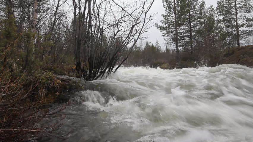 Taiga Flowing Spring River Stock Footage Video (100% Royalty-free ...