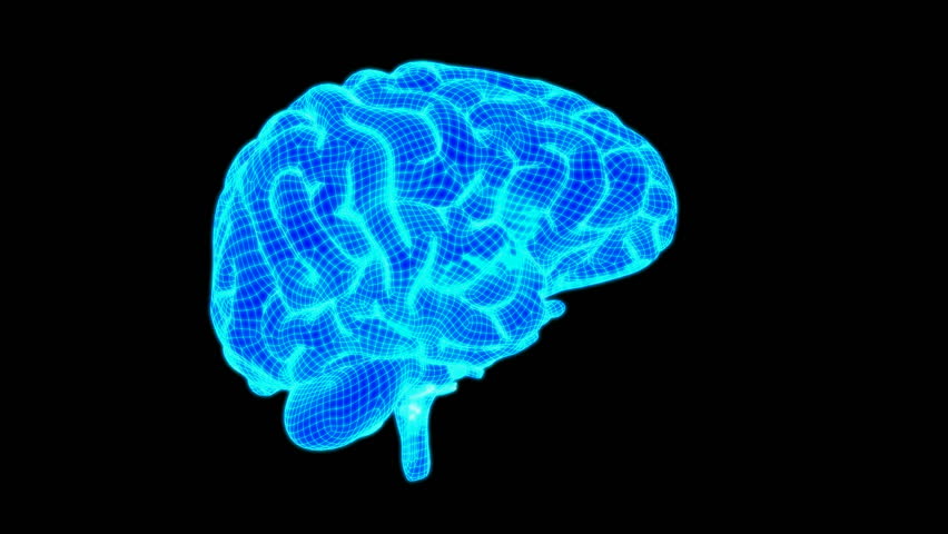 Digital Animation Of Brain Spinning On Blue Background Stock Footage ...