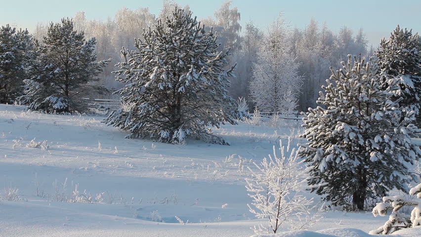 Stock video of panorama of snowy sunny fields in | 9054622 | Shutterstock