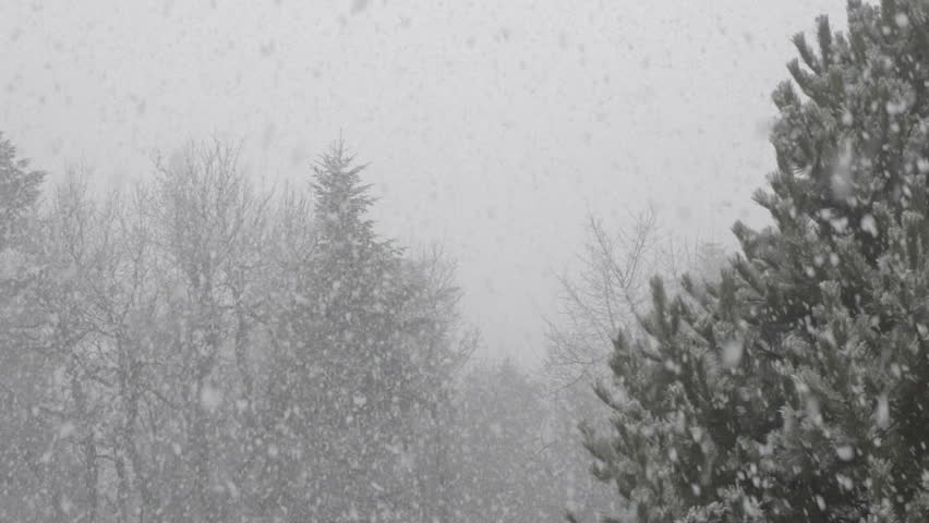 Slowly Falling Big Real Snowflakes Against White Sky. Blurred Abstract ...