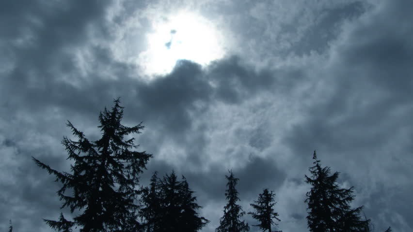 Windy Clouds over the trees image - Free stock photo - Public Domain ...