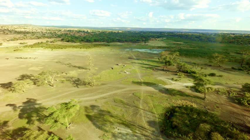 African Savannah Pasture Fields at Stock Footage Video (100% Royalty ...